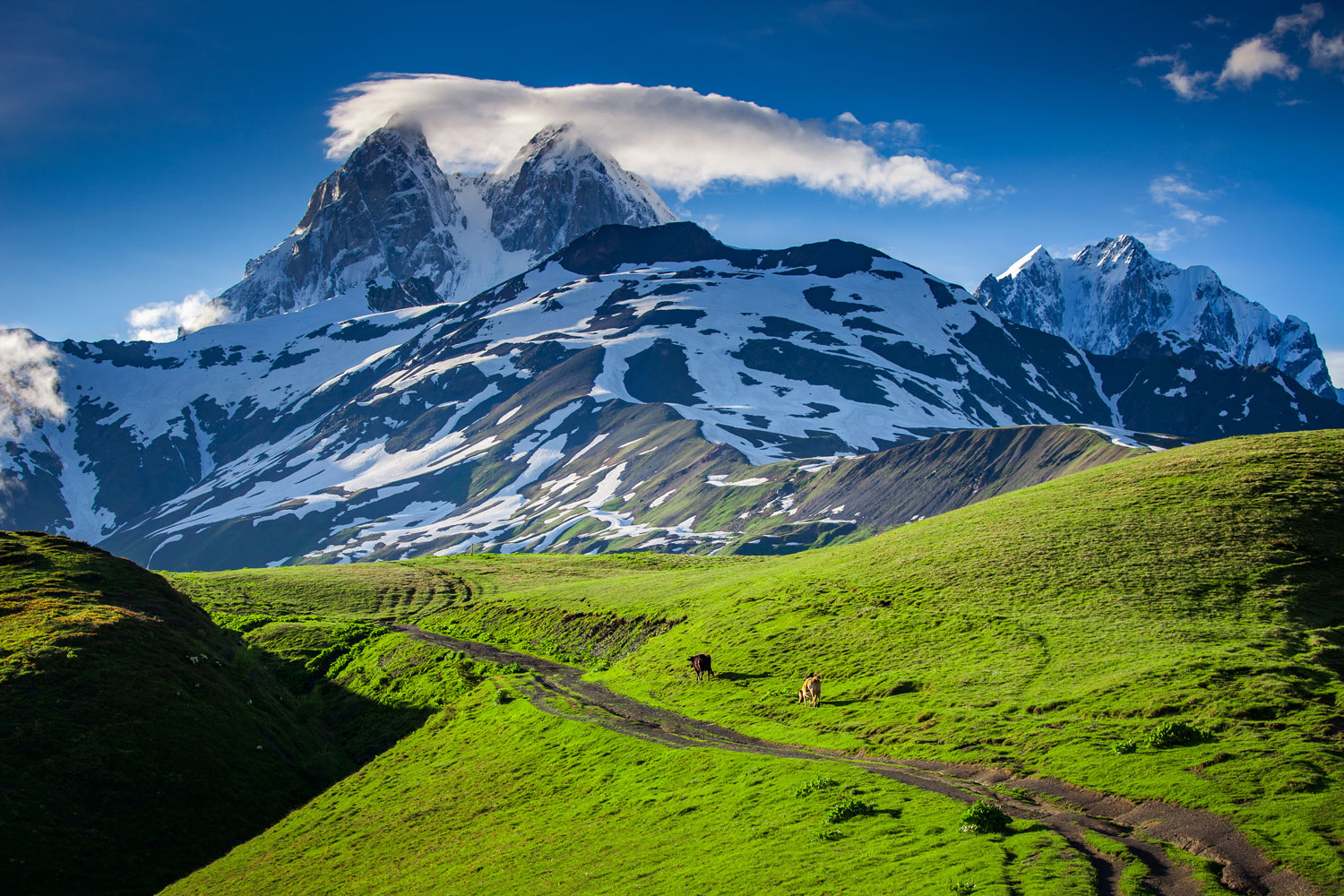 Europas höchste Gipfel - Wandern und Bergsteigen auf Monte Rosa, Mont ...
